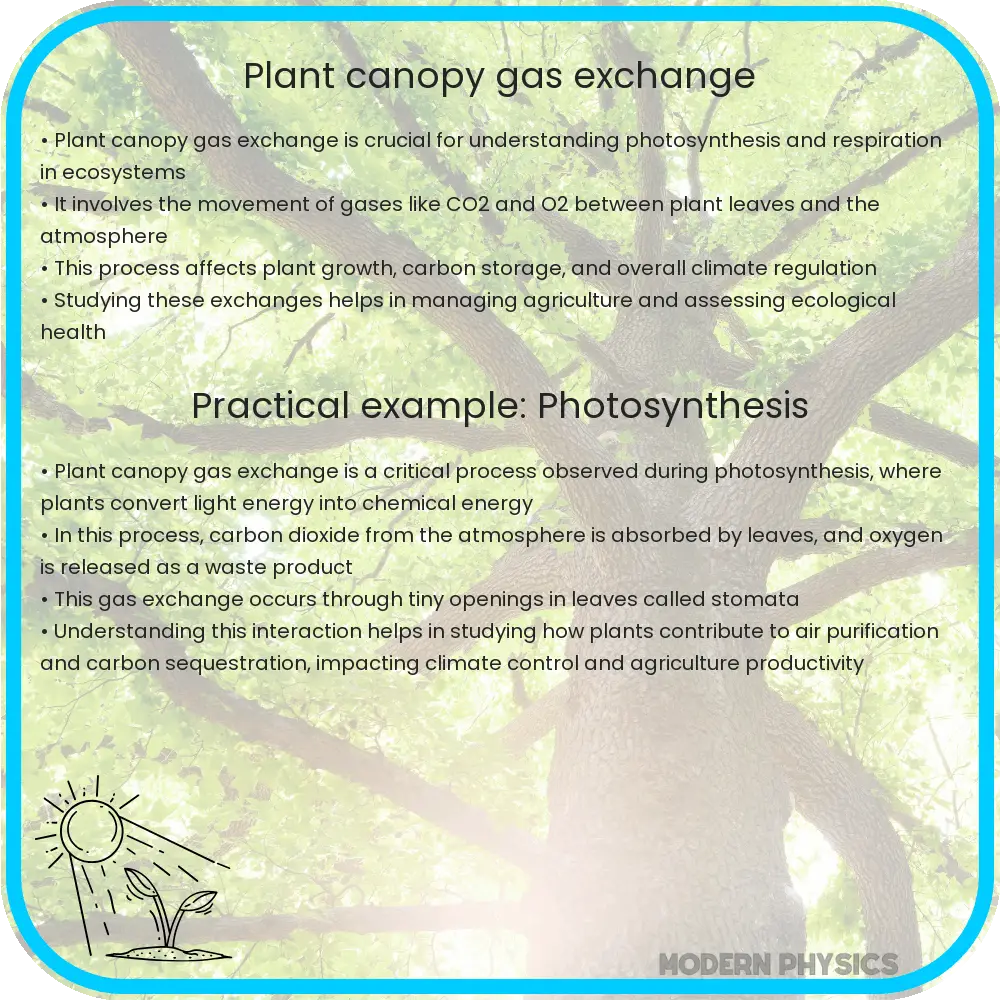 Plant Canopy Gas Exchange | Efficiency, Control & Impact in ...